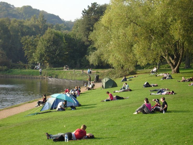 Visitor's Guide to Hampstead Heath Wilderness Park Visitor's Guide to Hampstead Heath Wilderness Park